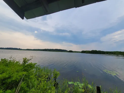 Best Hikes and Trails in Noxubee Refuge | AllTrails