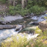 Cooper River Trail, Washington - 319 Reviews, Map | AllTrails