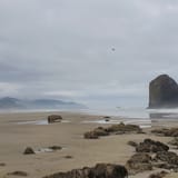 Haystack Rock, Oregon - 515 Reviews, Map | AllTrails