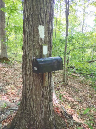 Best Hikes and Trails in Bully Hill State Forest | AllTrails