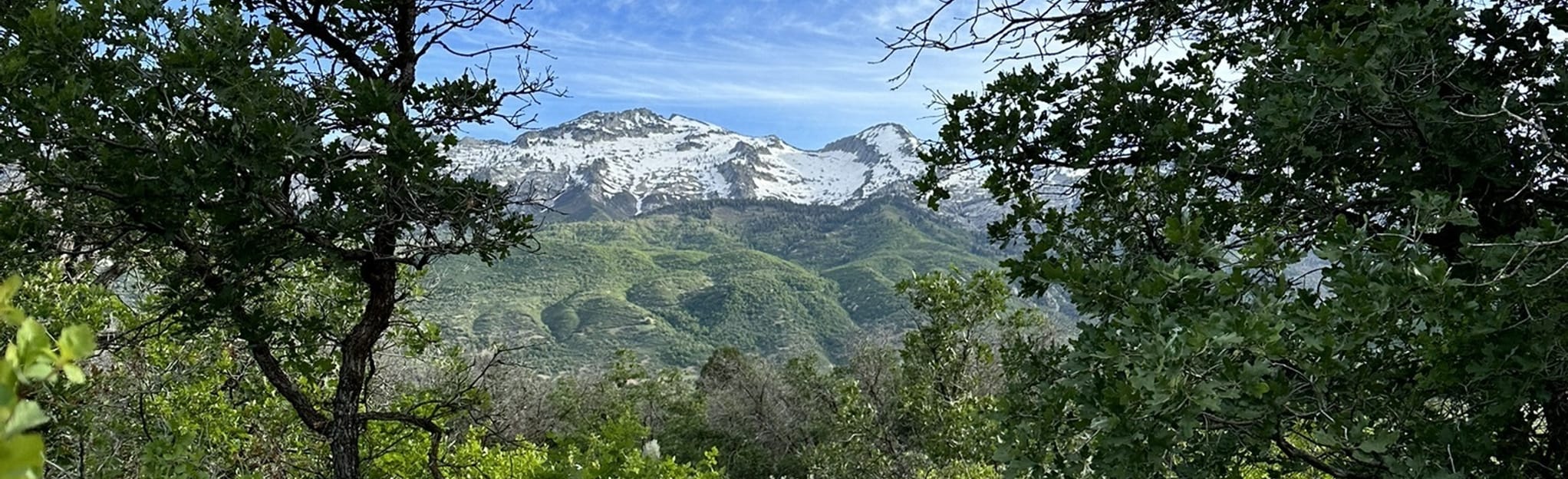 Middle Spring, Lambert's Luge, High Bench, Ziggy, Zag, and Ruin Loop ...