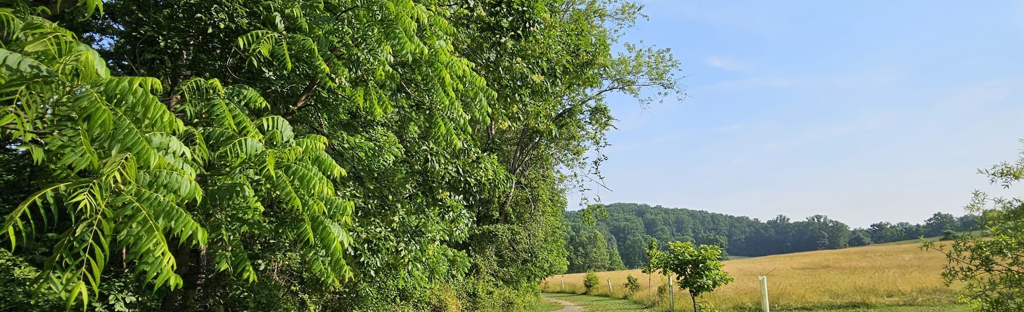 Jerusalem Mills and Little Gunpowder Short Loop Trail: 1,674 Reviews ...