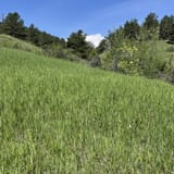 Sunshine Canyon Trail, Colorado - 640 Reviews, Map | AllTrails