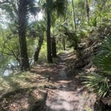 Econlockhatchee River Trail, Florida - 434 Reviews, Map | AllTrails