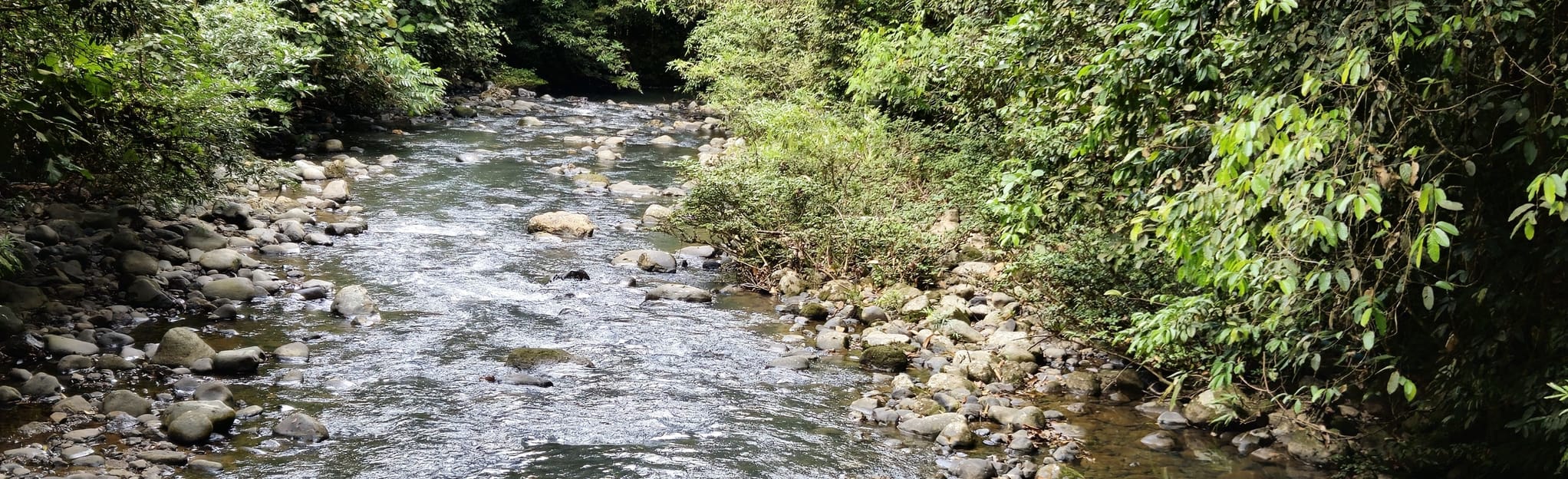 Tawau Hills Park - Sulfur Hot Spring: 15 Fotos - Sabah, Malaysia ...