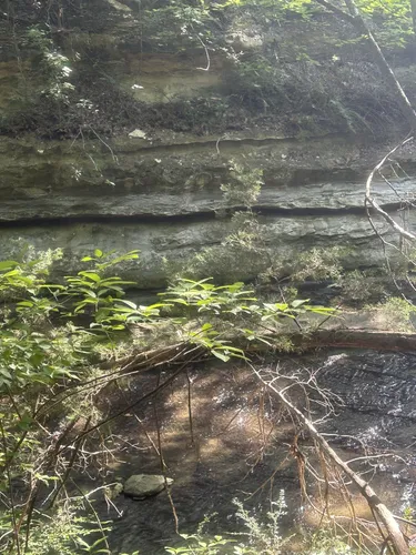 Best Hikes and Trails in Boulder Park | AllTrails