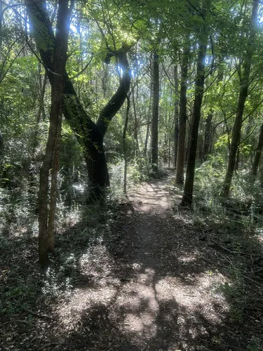 Best Hikes and Trails in Boulder Park | AllTrails