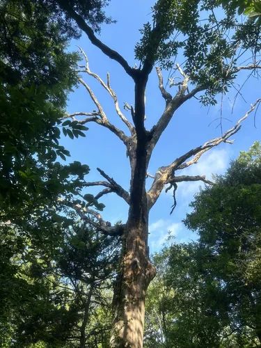 Best Hikes and Trails in Boulder Park | AllTrails