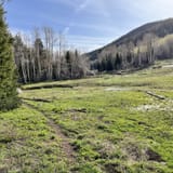 Whipple Trail, Utah - 297 Reviews, Map | AllTrails