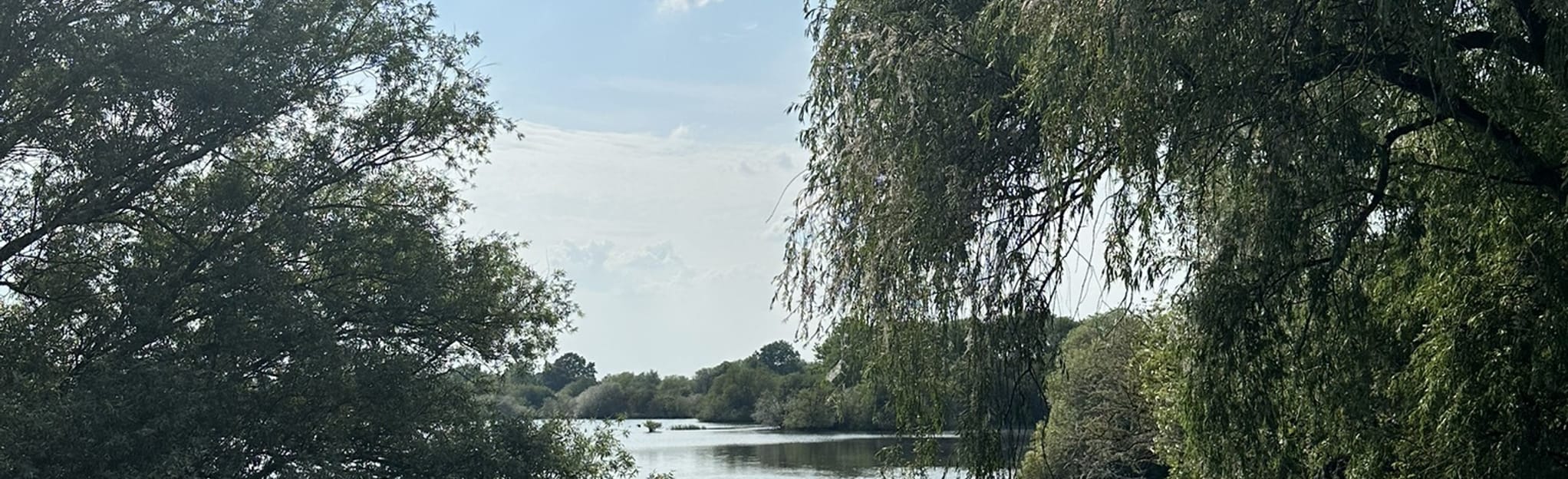 Clifton Pond, Main Pond Tween Pond Circular, Nottinghamshire, England ...