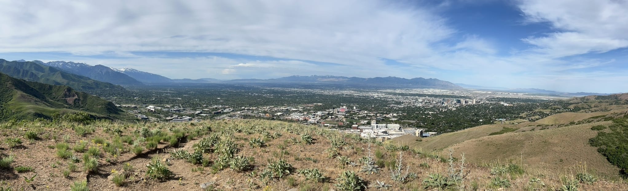Mount Van Cott from Red Butte Gardens, Utah - 86 Reviews, Map | AllTrails