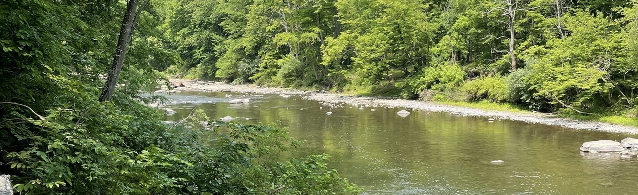 Spring Mountain Ski Area, Pennsylvania - 416 Reviews, Map | AllTrails