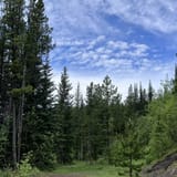 Raspberry Ridge Lookout Loop, Alberta, Canada - 428 Reviews, Map ...