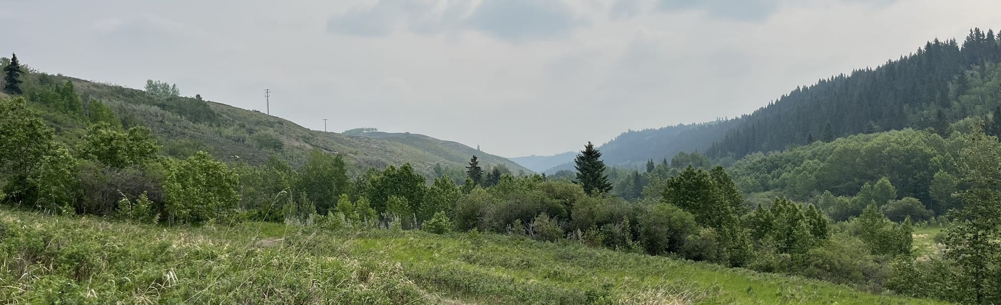 Cochrane Big Hill Creek Loop: 146 Fotos - Alberta, Kanada | AllTrails