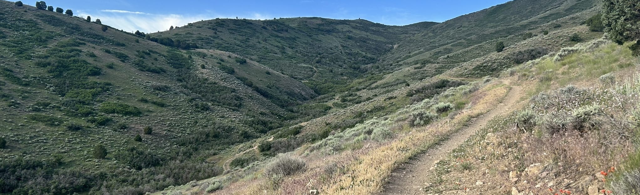 Juniper Canyon, Eric's, and Eric's Trail Alternate Loop : 103 photos ...