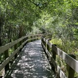 Largo Nature Preserve Loop, Florida - 402 Reviews, Map | AllTrails