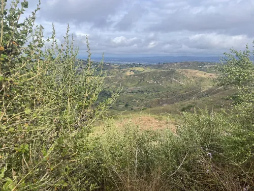 Best Hikes and Trails in Irvine Regional Park | AllTrails