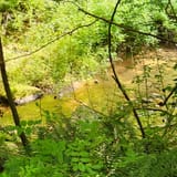 ChesLen Preserve Yellow Loop, Pennsylvania - 640 Reviews, Map | AllTrails
