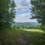 Paine Mountain, Vermont - 183 Reviews, Map | AllTrails