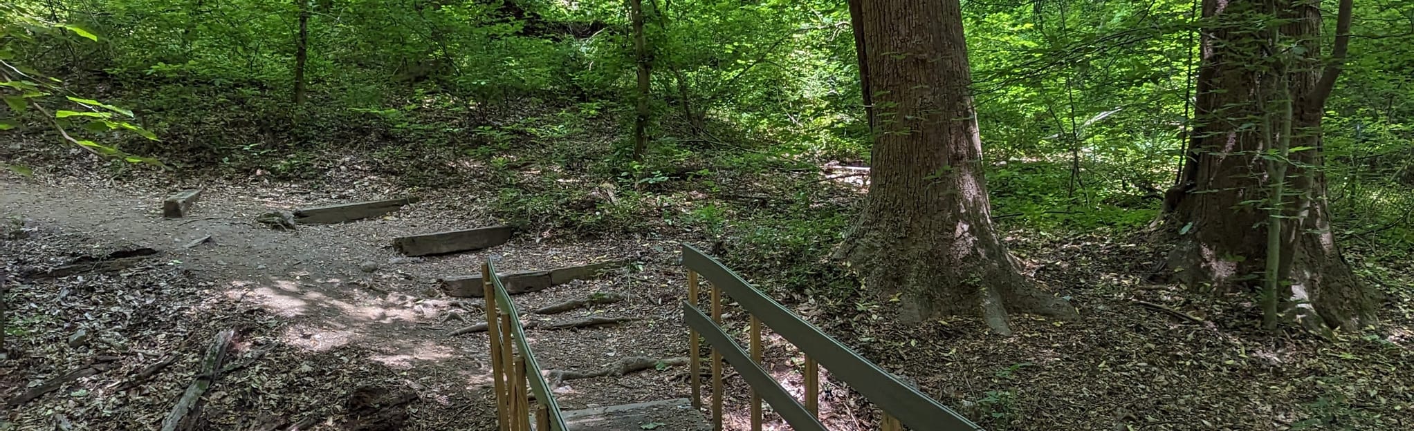 AllTrails | Potomac Overlook Trail: 345 Reviews, Map - Virginia