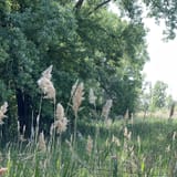 Fox Cities Paper Trail, Wisconsin - 70 Reviews, Map | AllTrails