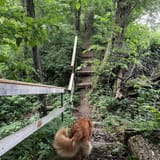 Longwoods Road Conservation Area, Ontario, Canada - 311 Reviews, Map ...