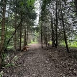 Longwoods Road Conservation Area, Ontario, Canada - 311 Reviews, Map ...