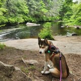 Carbuncle Pond and Moosup River Trail, Rhode Island - 261 Reviews, Map ...