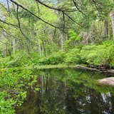 Carbuncle Pond and Moosup River Trail, Rhode Island - 261 Reviews, Map ...