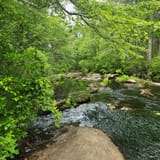 Carbuncle Pond and Moosup River Trail, Rhode Island - 261 Reviews, Map ...