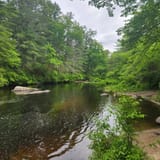 Carbuncle Pond and Moosup River Trail, Rhode Island - 261 Reviews, Map ...