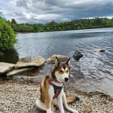 Carbuncle Pond and Moosup River Trail, Rhode Island - 261 Reviews, Map ...