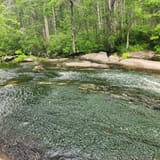 Carbuncle Pond and Moosup River Trail, Rhode Island - 261 Reviews, Map ...