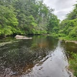 Carbuncle Pond and Moosup River Trail, Rhode Island - 261 Reviews, Map ...