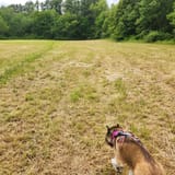 Carbuncle Pond and Moosup River Trail, Rhode Island - 261 Reviews, Map ...