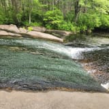 Carbuncle Pond and Moosup River Trail, Rhode Island - 261 Reviews, Map ...