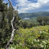 Emigration Canyon Ridgeline Trail, Utah - 378 Reviews, Map | AllTrails