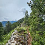Mount Ellis Trail, Montana - 128 Reviews, Map | AllTrails