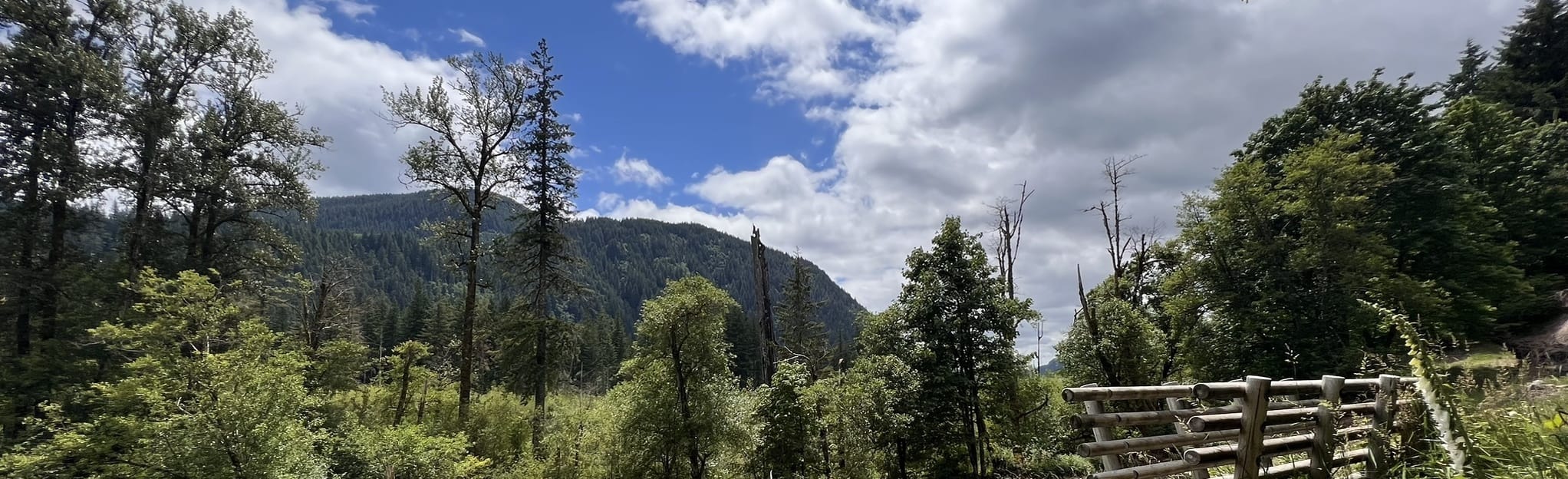 Beaver Bay Trail, Washington - 38 Reviews, Map | AllTrails