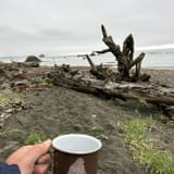 Cape Alava Trail, Washington - 495 Reviews, Map | AllTrails