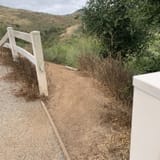 Woodridge Long Canyon Loop, California - 859 Reviews, Map | AllTrails