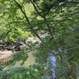 Blackstone Gorge Trail, Massachusetts - 482 Reviews, Map | AllTrails