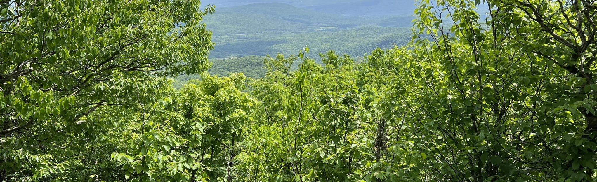 Mont Singer Trail: 51 Reviews, Map - Quebec, Canada | AllTrails