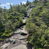Imp Trail, New Hampshire - 392 Reviews, Map | AllTrails