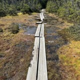 Imp Trail, New Hampshire - 392 Reviews, Map | AllTrails