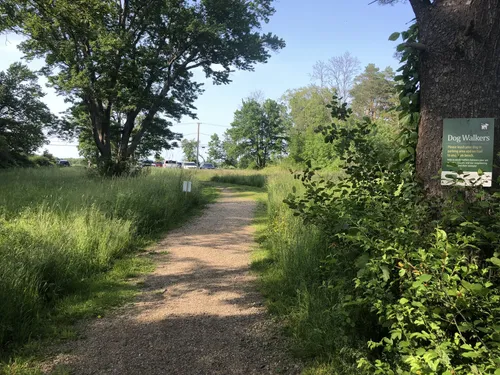 Best Hikes and Trails in Castle Neck River Reservation | AllTrails