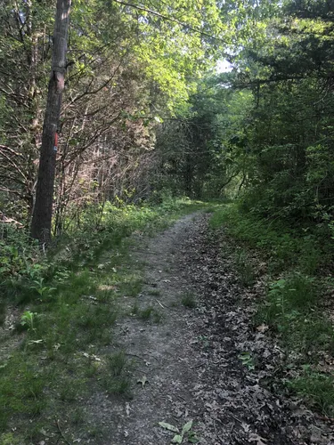 Best Hikes and Trails in Castle Neck River Reservation | AllTrails