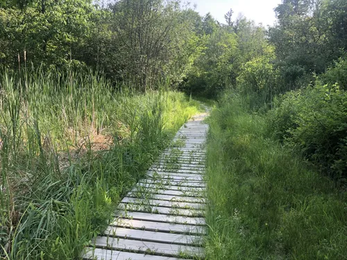 Best Hikes and Trails in Castle Neck River Reservation | AllTrails