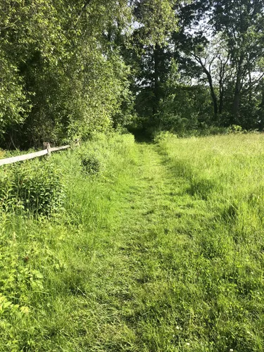 Best Hikes and Trails in Castle Neck River Reservation | AllTrails