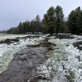 Olancha Pass and Summit Meadow, California - 56 Reviews, Map | AllTrails